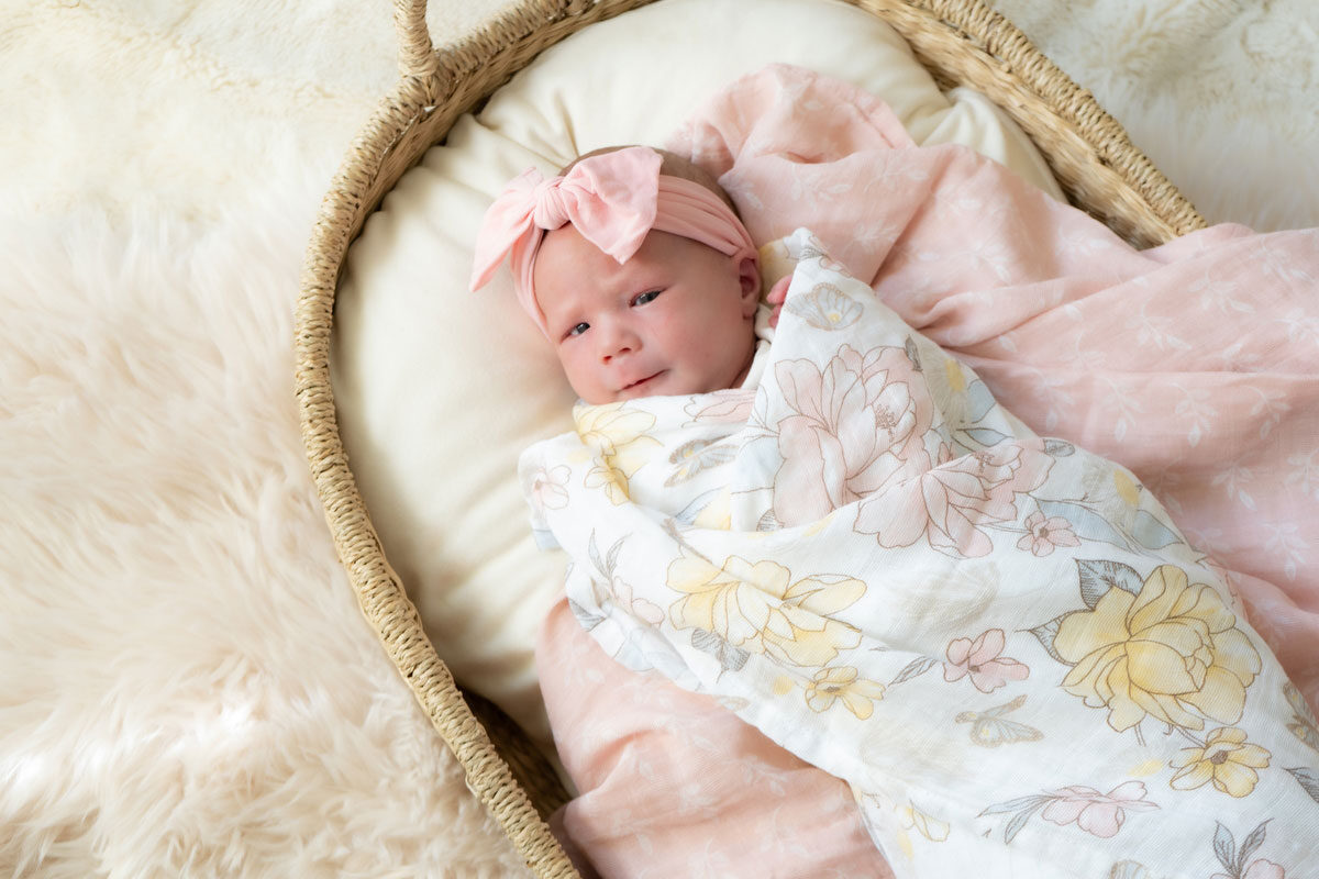 Letters from Joni | December 2024